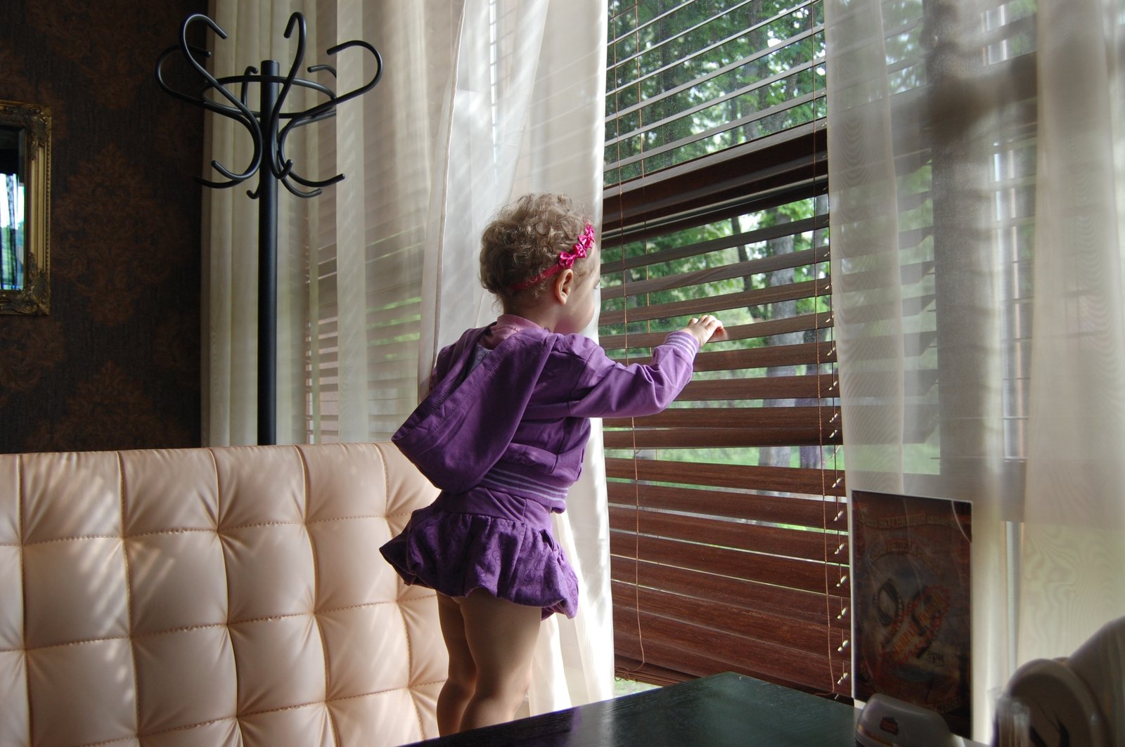 Light-Control & Privacy Options for Window Treatments